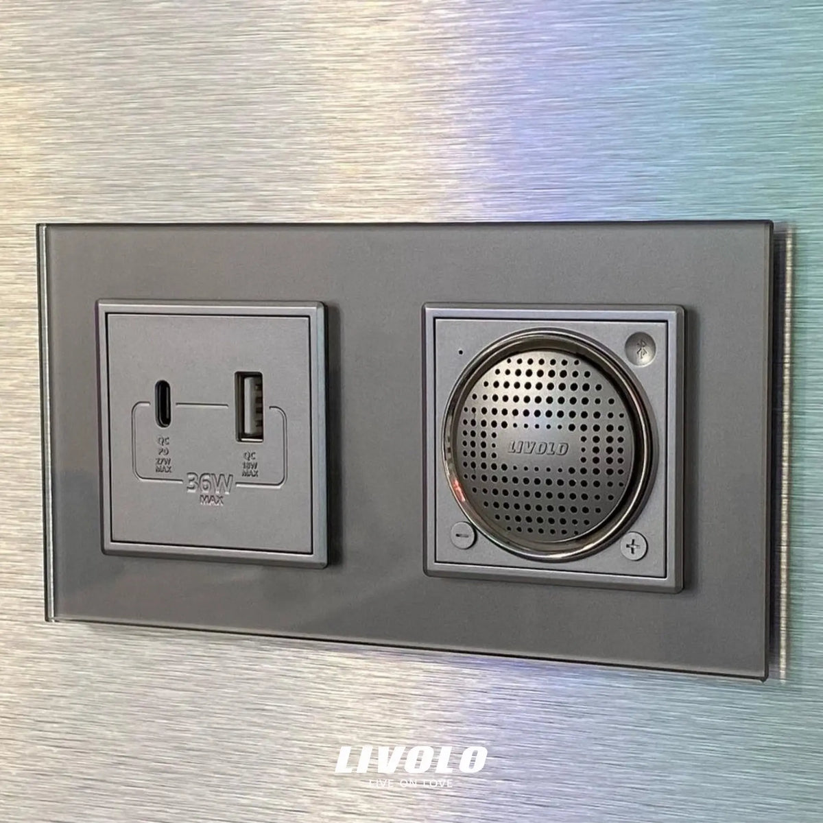 Multimedia | Dubbel | Aansluiten van tv, netwerk en meer | Livolo